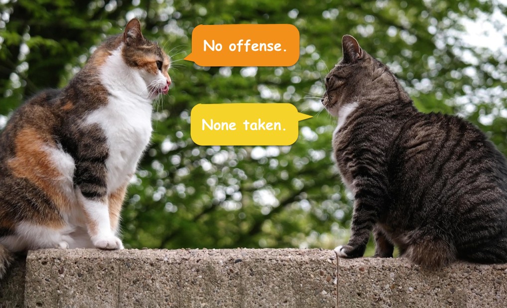 “No offense” “None taken”ってどういう意味？使い方は？
